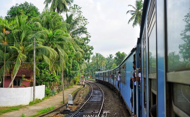 千与千寻海上列车原型，就是斯里兰卡这段火车，许多游客慕名而来__财经头条