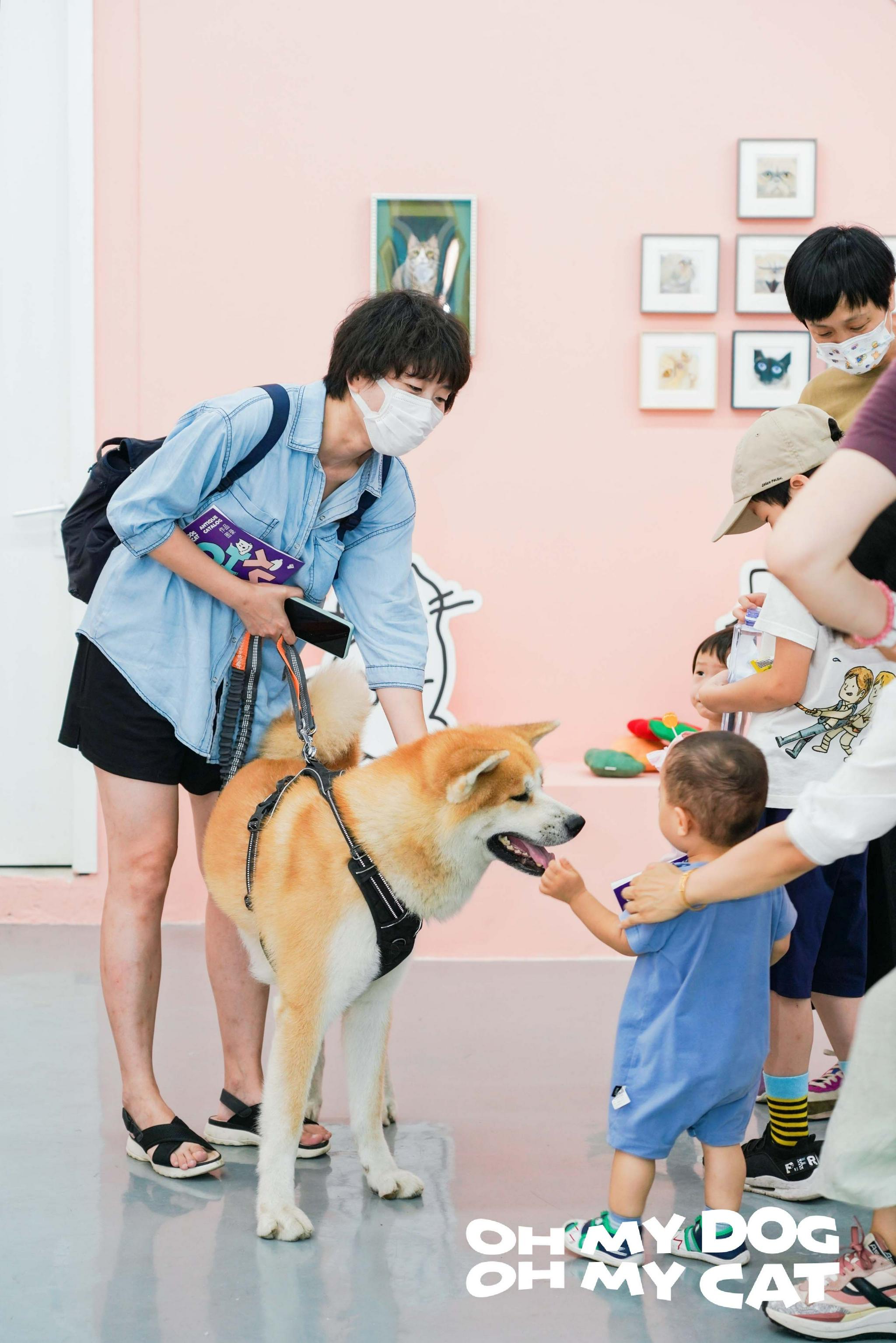 打卡，溜达，有趣，速来丨宠物友好大展亮相798