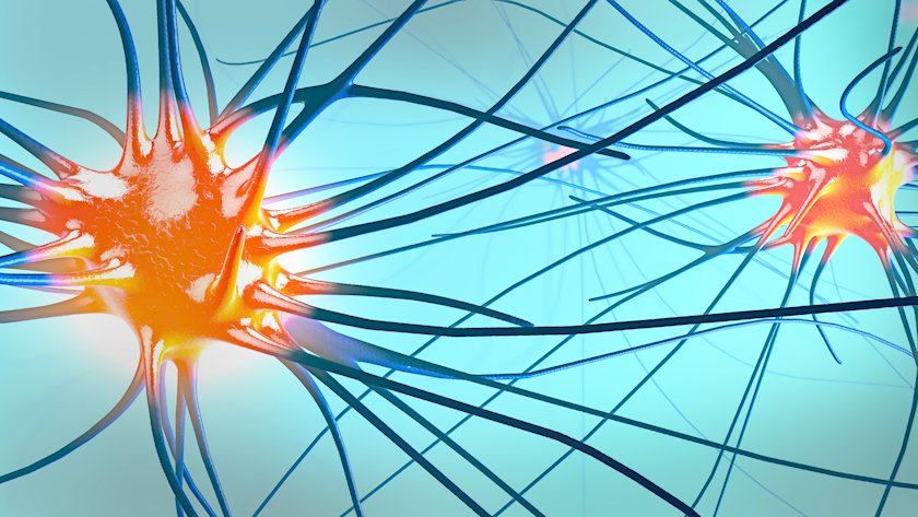 每月自行给药一次！FDA批准hATTR-PN新药Wainua|初始|诺福克|患者_新浪新闻