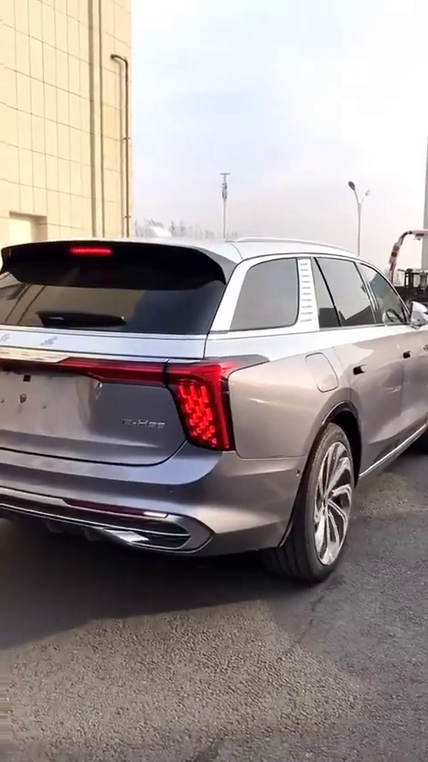 见到实车了朋友们红旗e-hs9即将上市~_新浪新闻