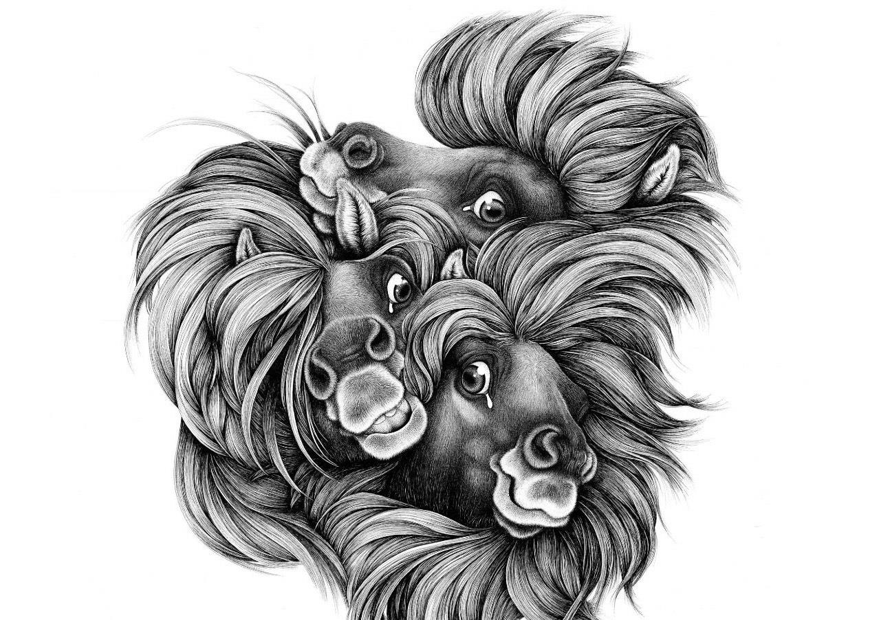 法裔新西兰插画师Cielle Graham作品欣赏__财经头条