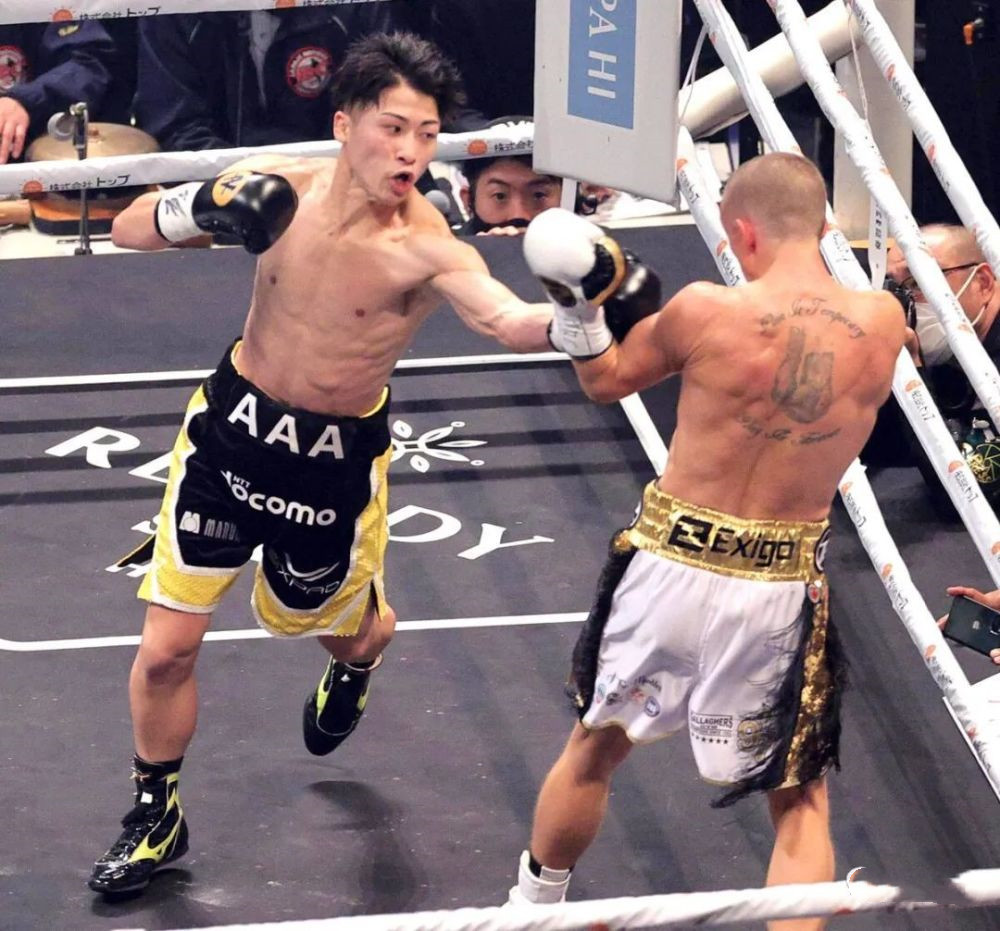 两大不败拳王火并!井上尚弥vs富尔顿,谁能ko获胜?