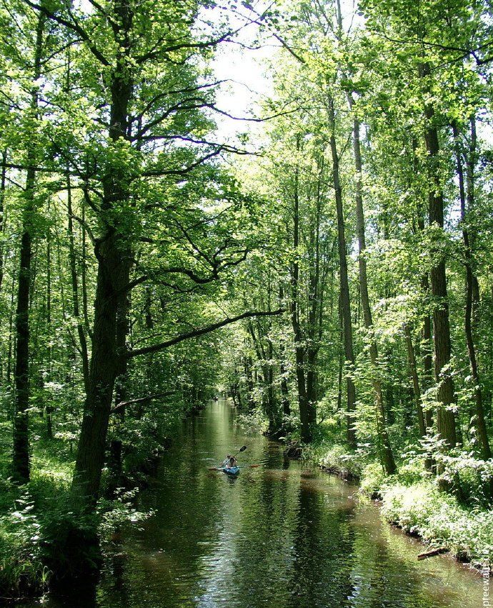 有着“小威尼斯”之称的德国 施普雷瓦尔德(Spreewald)