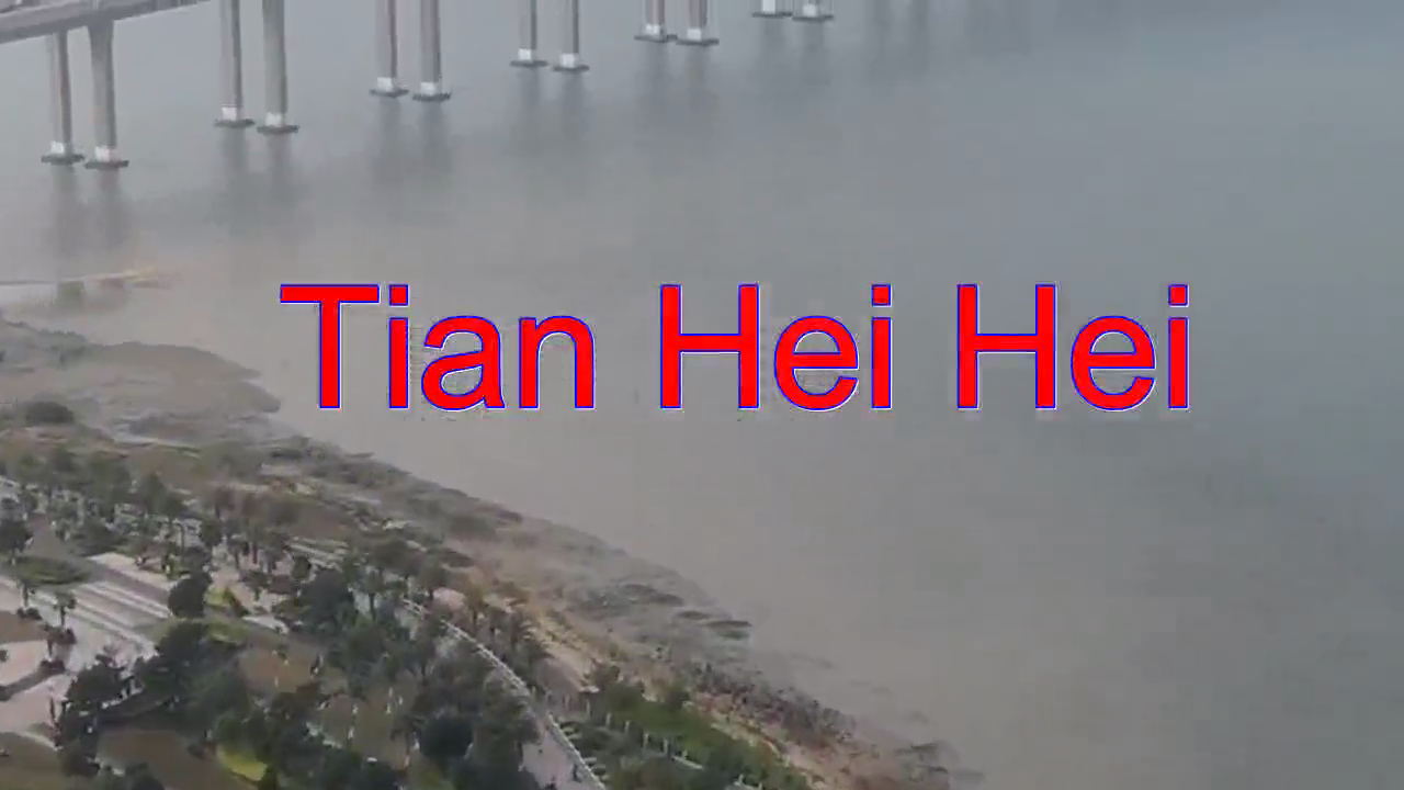 《Tian Hei Hei》，唱的太动情了_新浪新闻