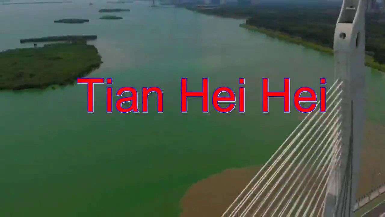 《Tian Hei Hei》，嗨到天亮，真好听!_新浪新闻