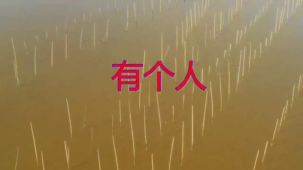 张学友的一首《有个人》，歌声清脆，此曲洋洋盈耳_新浪新闻