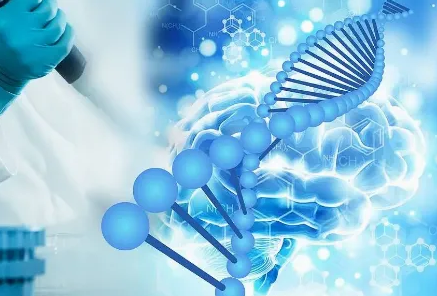 nmn怎么服用，如何促进nmn转化，详细说明__财经头条