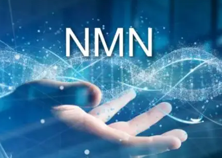 nmn怎么服用，如何促进nmn转化，详细说明