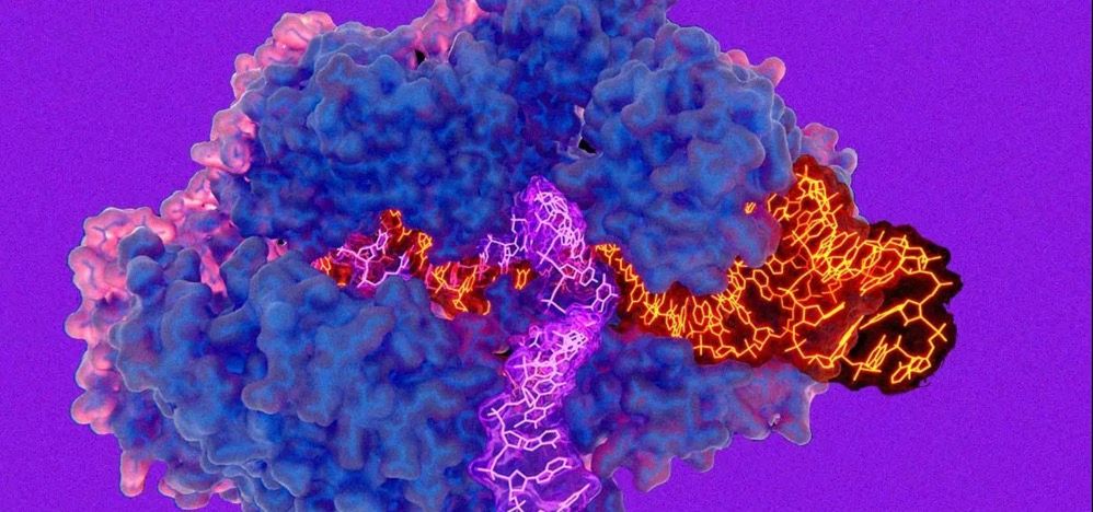 接受CRISPR治疗的患者在三年后可被“治愈”|患者|疗法|输血_新浪新闻