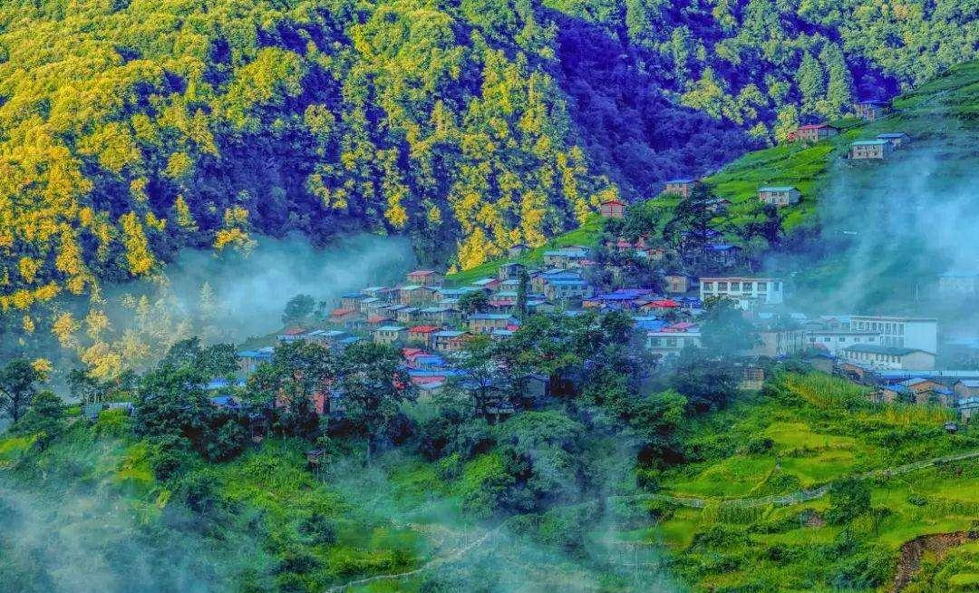 西藏最南边的墨脱县这个几个景点看着就眼馋__财经头条