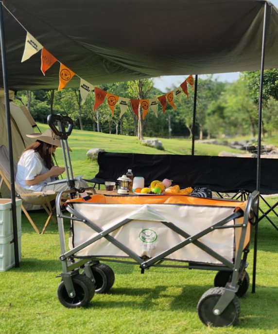 户外露营神器推荐：跃科宝冠EV1电动露营车|泥路|脚刹|探险家|钓鱼|湖泊_新浪新闻