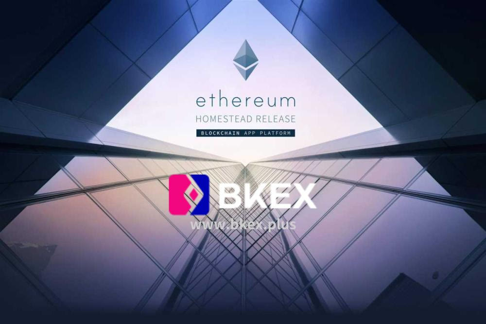 势如破竹，茁壮成长，全面解读BKEX GLOBAL此次升级__财经头条