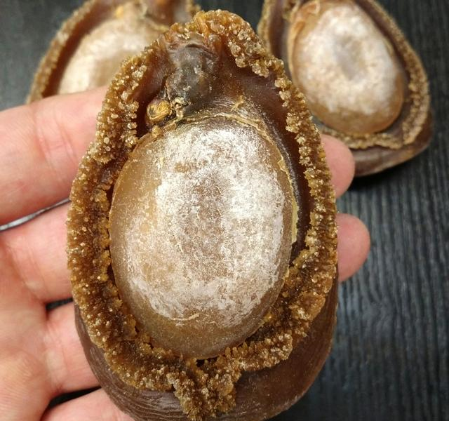 世界“三大名鲍”，据说一万元一斤，都只能算是“普通货色”|鲍鱼|货色|溏心_新浪新闻