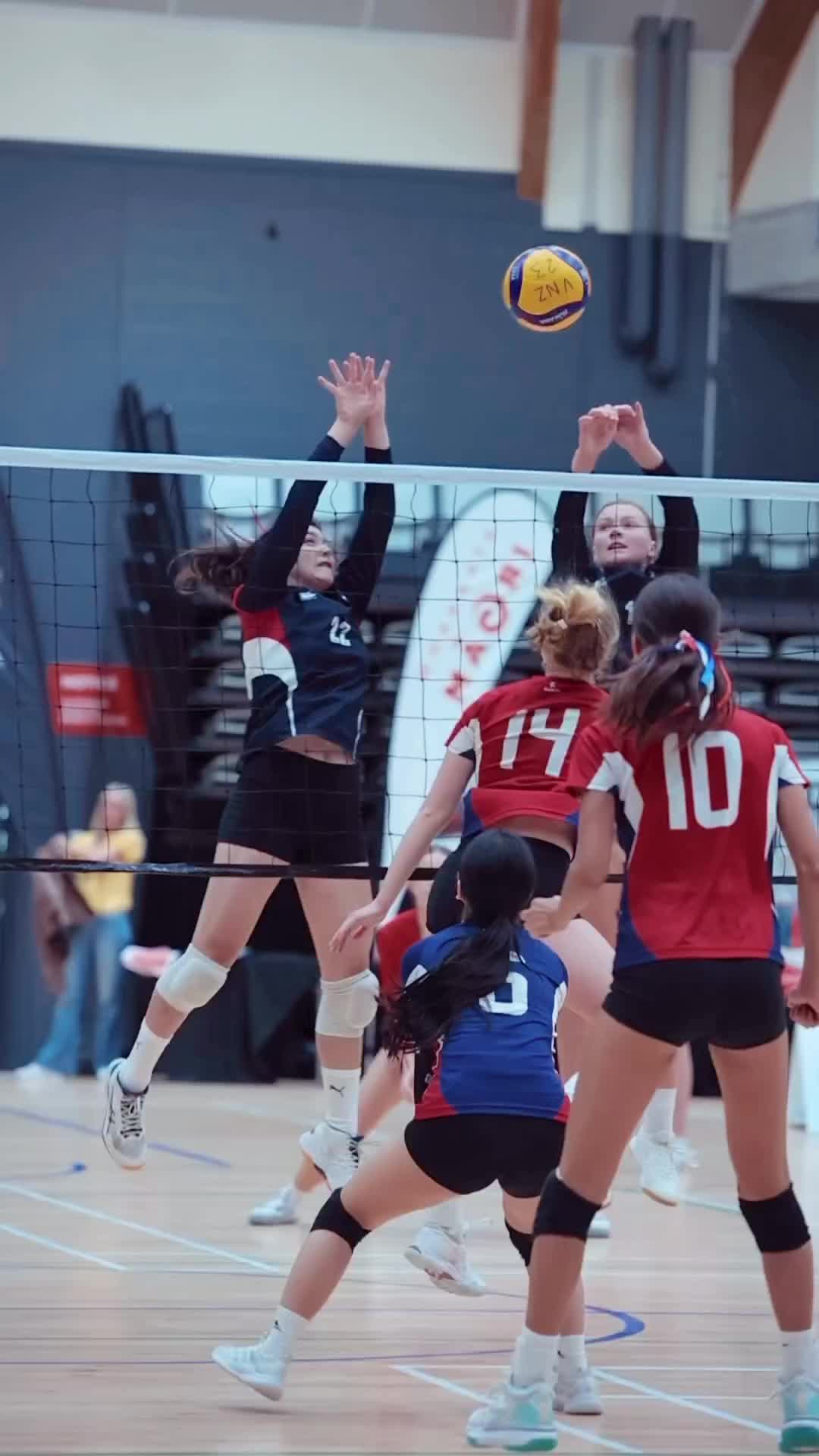 Volleyball！二传就是场上的指挥家！_新浪新闻