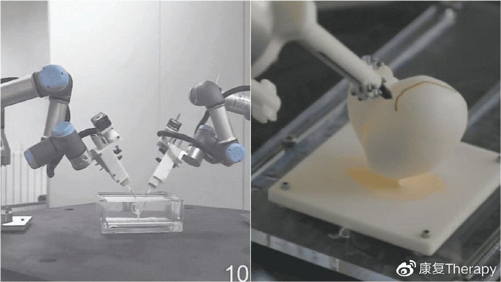 心脏也能3D打印！《Science》公布麻省新突破，可按患者需求定制