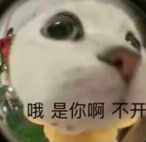 表情包 有点不合适吧 拿图点赞、吱声财经头条
