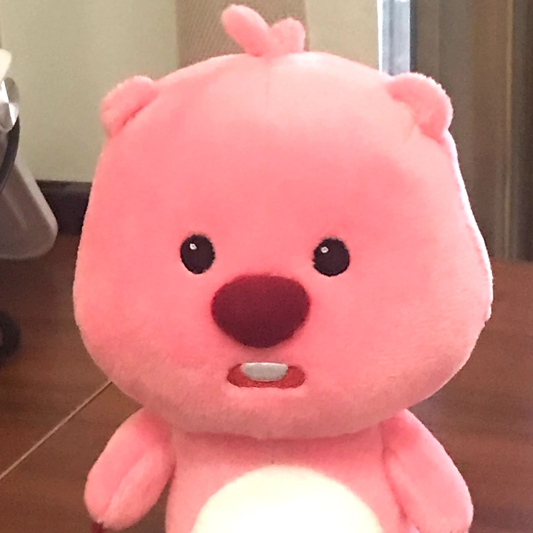 小海狸loopy韩国-千图网