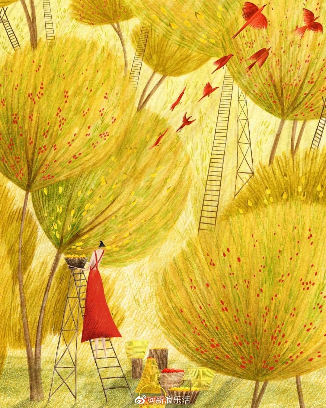 来自英国插画师 Rosanna Tasker ……__财经头条