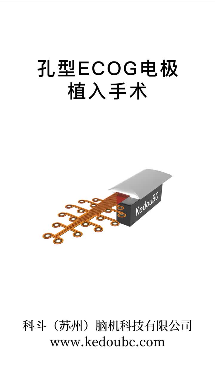 【视频教程】孔型ECOG电极植入手术，获取全脑皮层活动的信息