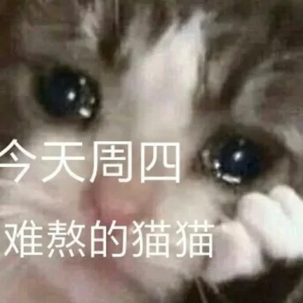 流泪猫猫头表情包 明天周一 灵魂出窍