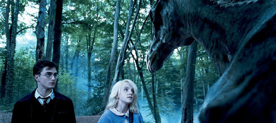 《哈利波特》，关于卢娜你不知道的一些事，演员和作者现难得巧合