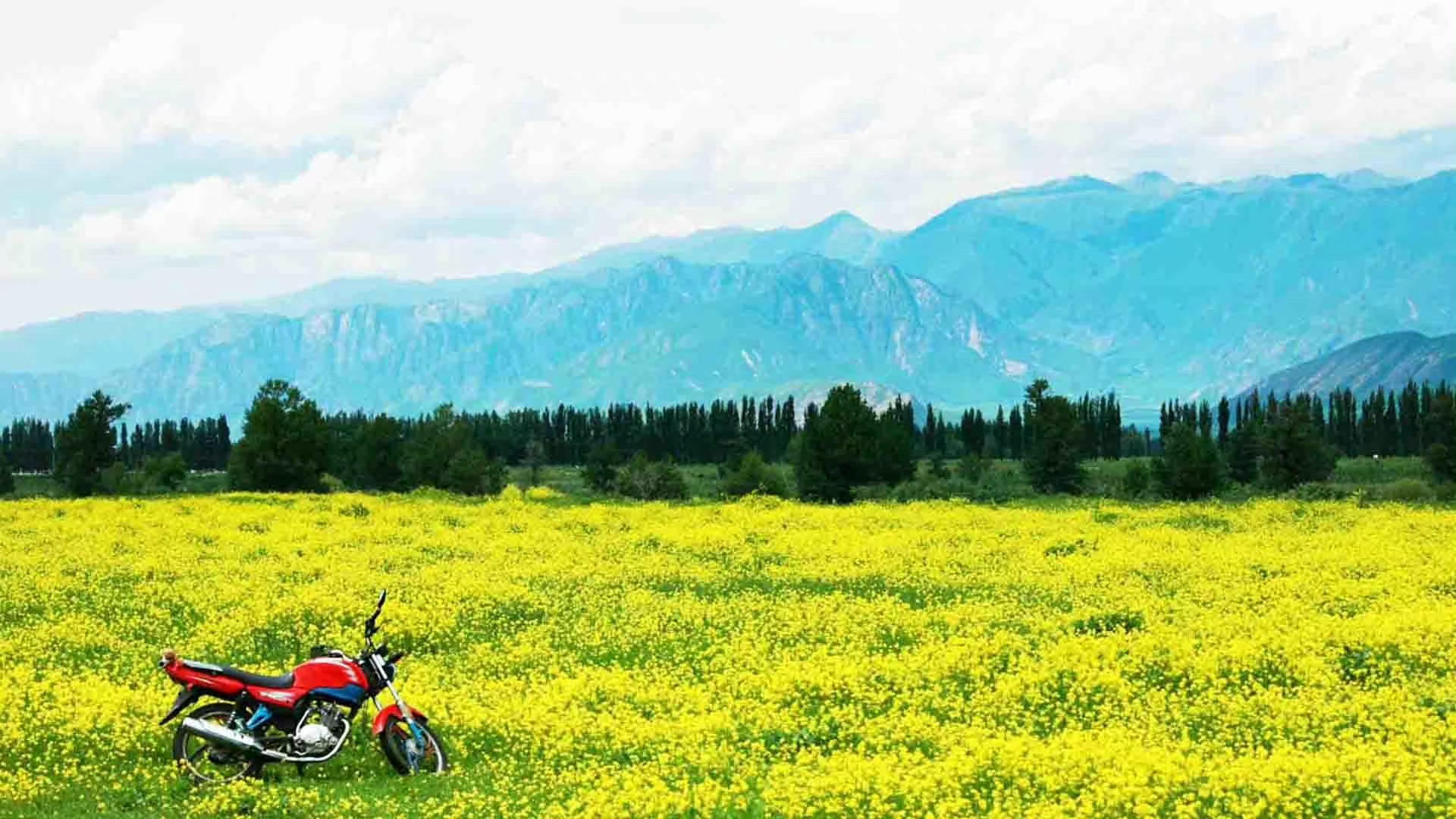 人和人之间最大的区别和隔阂便是……__财经头条