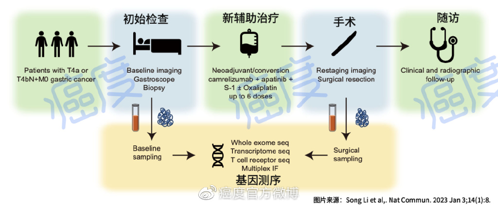 局部晚期胃癌有可能治愈吗？|微卫星|患者|胃癌_新浪新闻