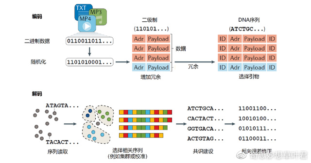 解决数据存储瓶颈！一克DNA可储存2.15亿GB数据，大储量时代到来
