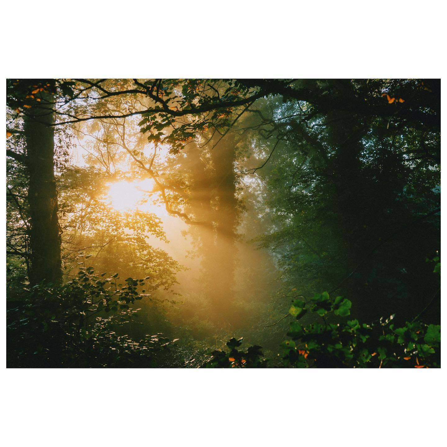 清晨的光 | Daniel Casson__财经头条