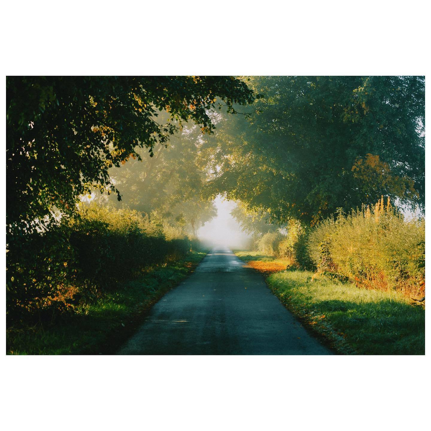 清晨的光 | Daniel Casson__财经头条