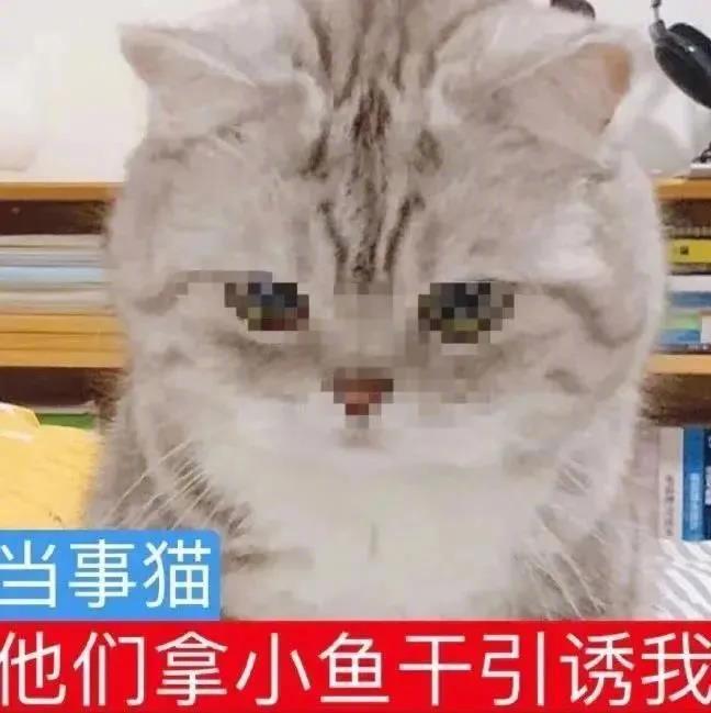 表情包 | 和你天下第一好！