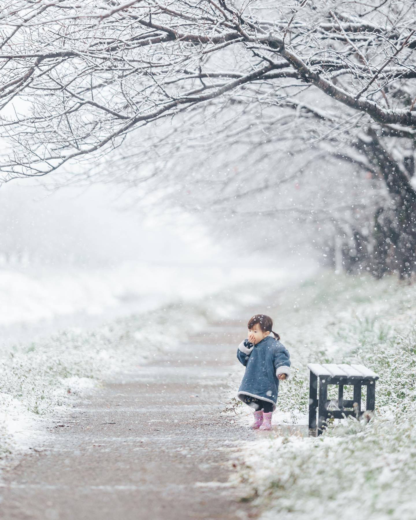 大雪天里的孩子 | yuria__财经头条