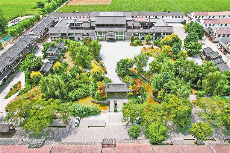 擎旗奋进阔步行（奋进的河南——决胜“十四五”·商丘篇）|党建|商丘市|河南省|王公庄村|乡村振兴_新浪新闻