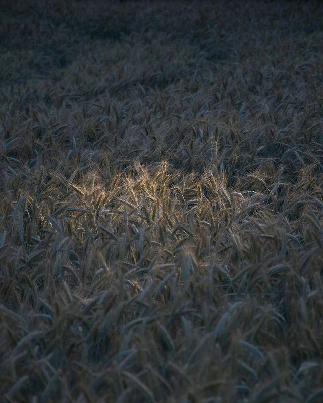 于是我们领教了世界是何等凶顽……__财经头条