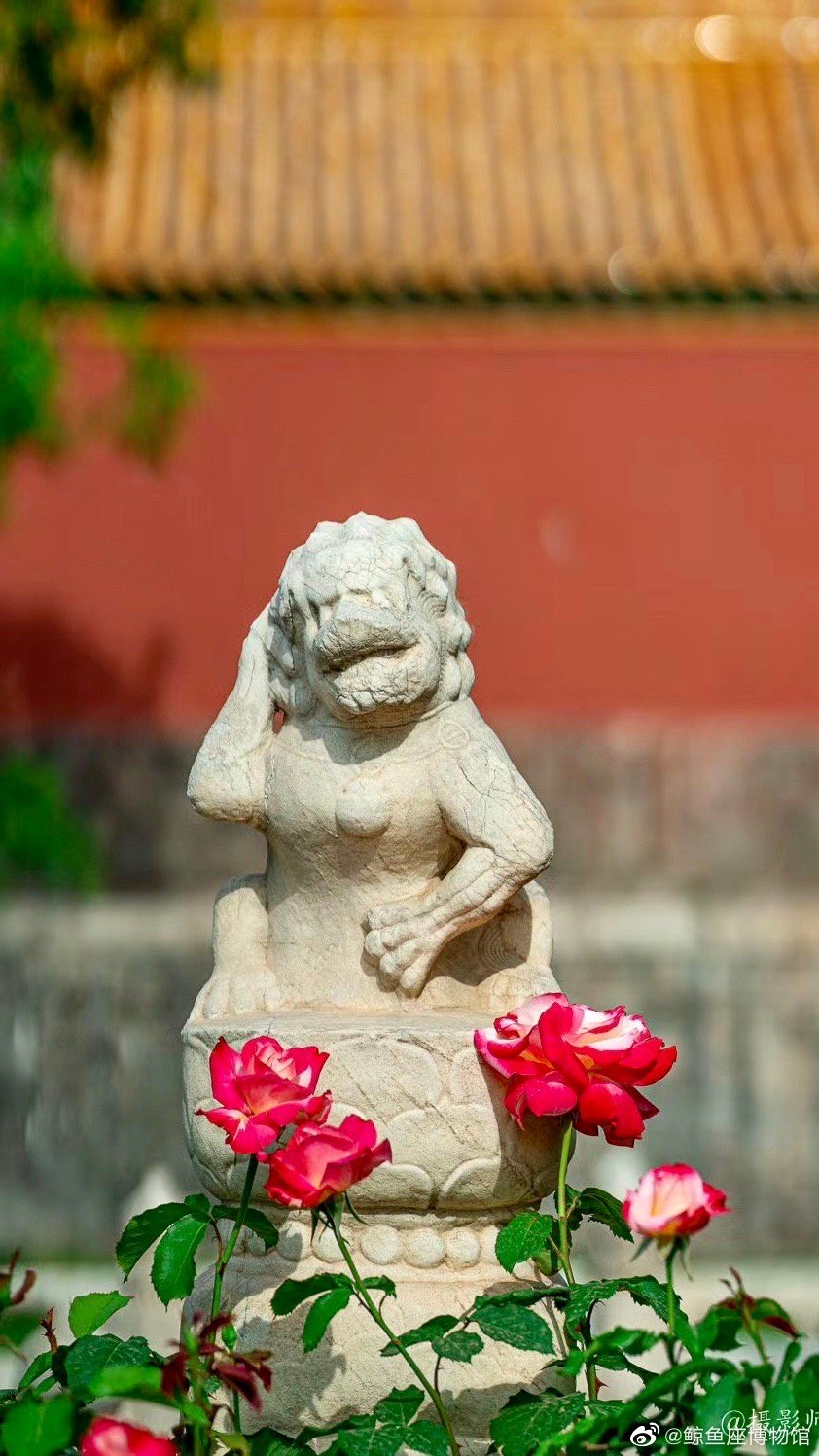 故宫四季美如画