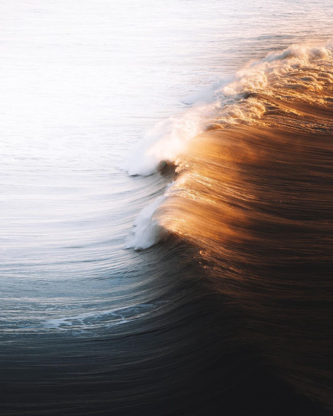 金色的海浪 | Jon Sanchez