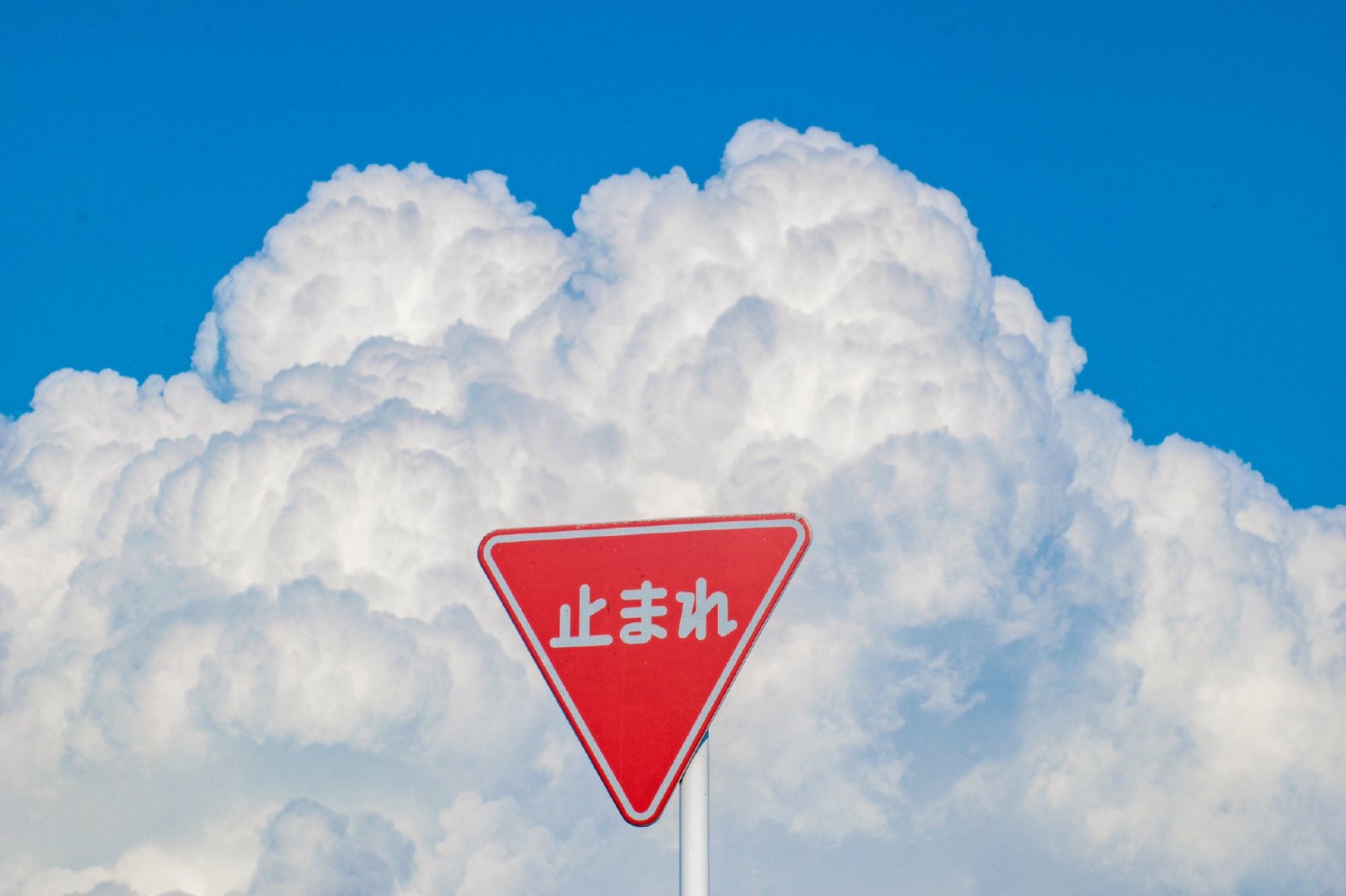 摄影 Twitter：photono_gen（tomosaki）