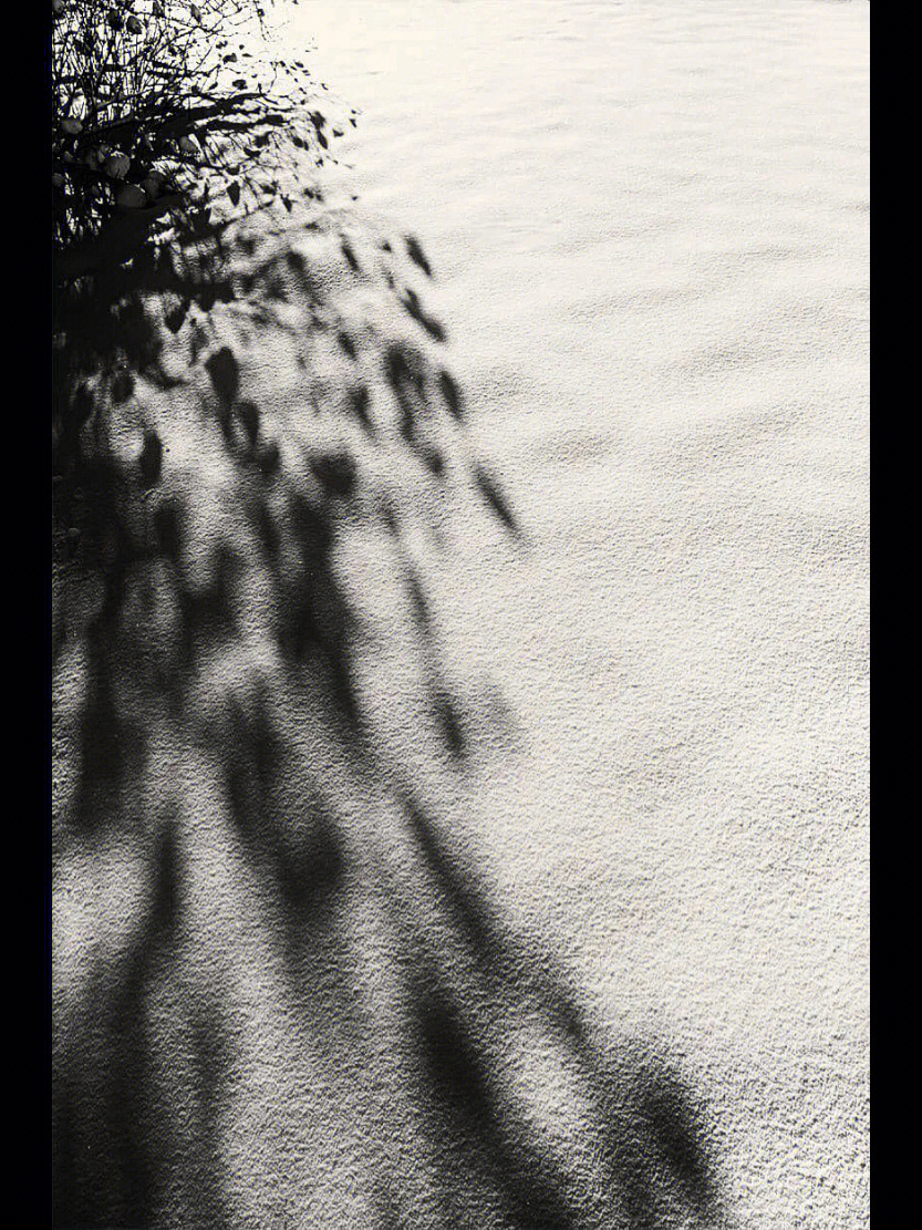 禅意 ｜ Sasa Gyoker__财经头条