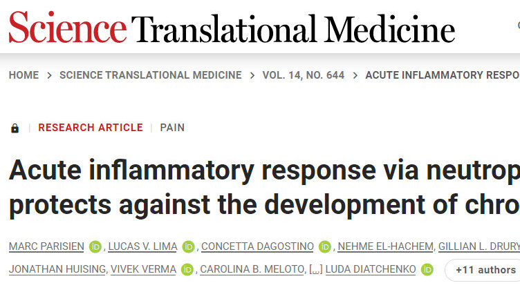 Sci Trans Med：如何防止急性痛转为慢性痛？颠覆常识，急性期的炎症|急性期|炎症|粒细胞_新浪新闻