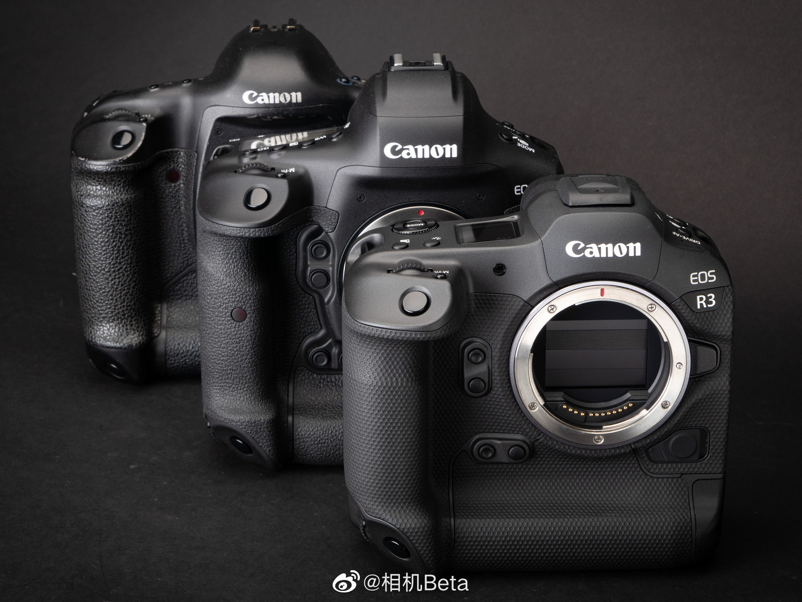 佳能EOS R3 vs EOS 1Dx Mark III，EOS R5……体积对比