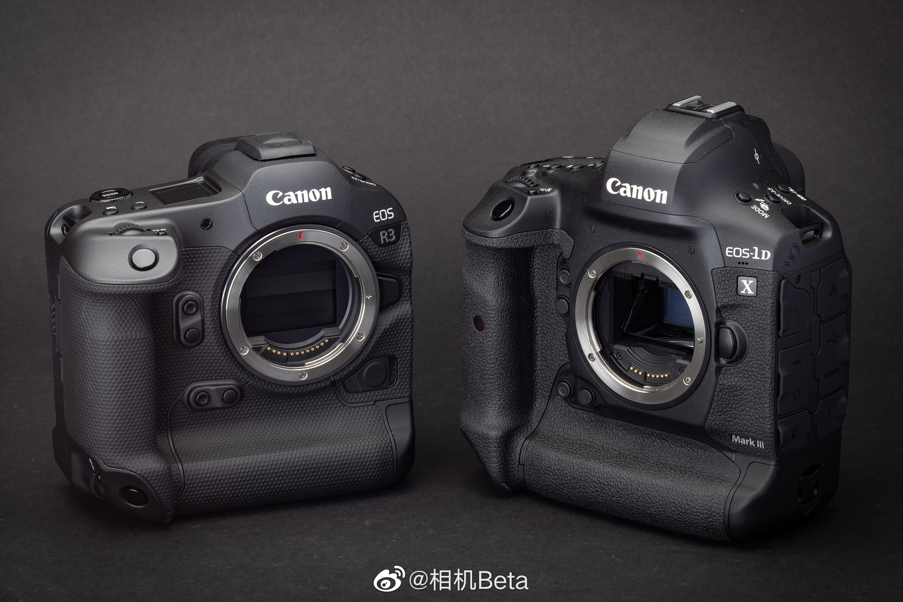 佳能EOS R3 vs EOS 1Dx Mark III，EOS R5……体积对比|体积|佳能EOS_新浪新闻