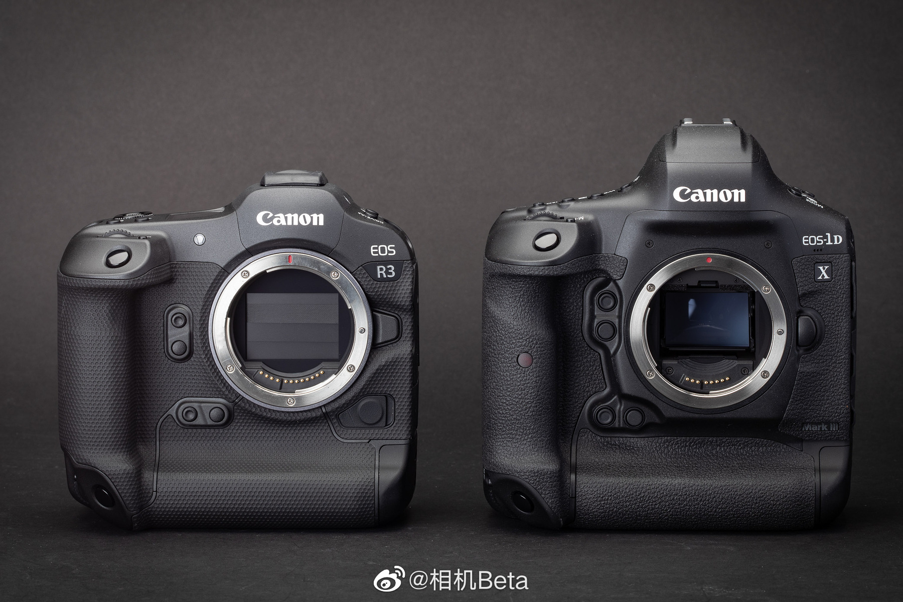 佳能EOS R3 vs EOS 1Dx Mark III，EOS R5……体积对比