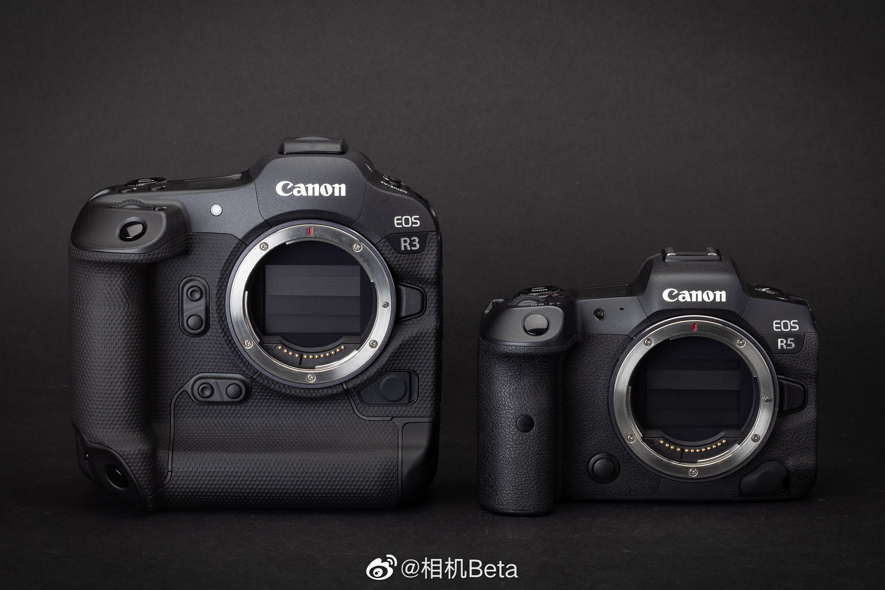 佳能EOS R3 vs EOS 1Dx Mark III，EOS R5……体积对比|体积|佳能EOS_新浪新闻