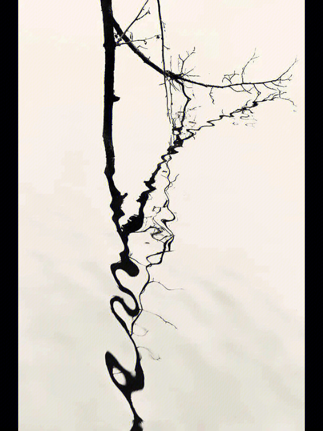 禅意 ｜ Sasa Gyoker__财经头条