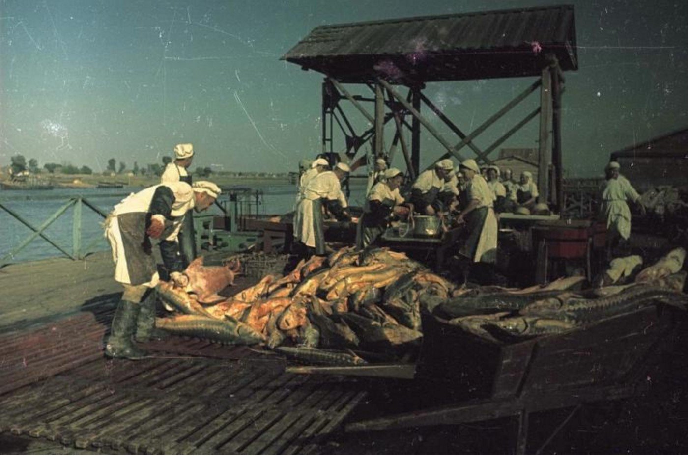 CCCP时代（年代不详）老照片一组