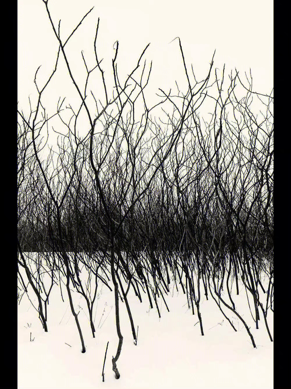 禅意 ｜ Sasa Gyoker__财经头条