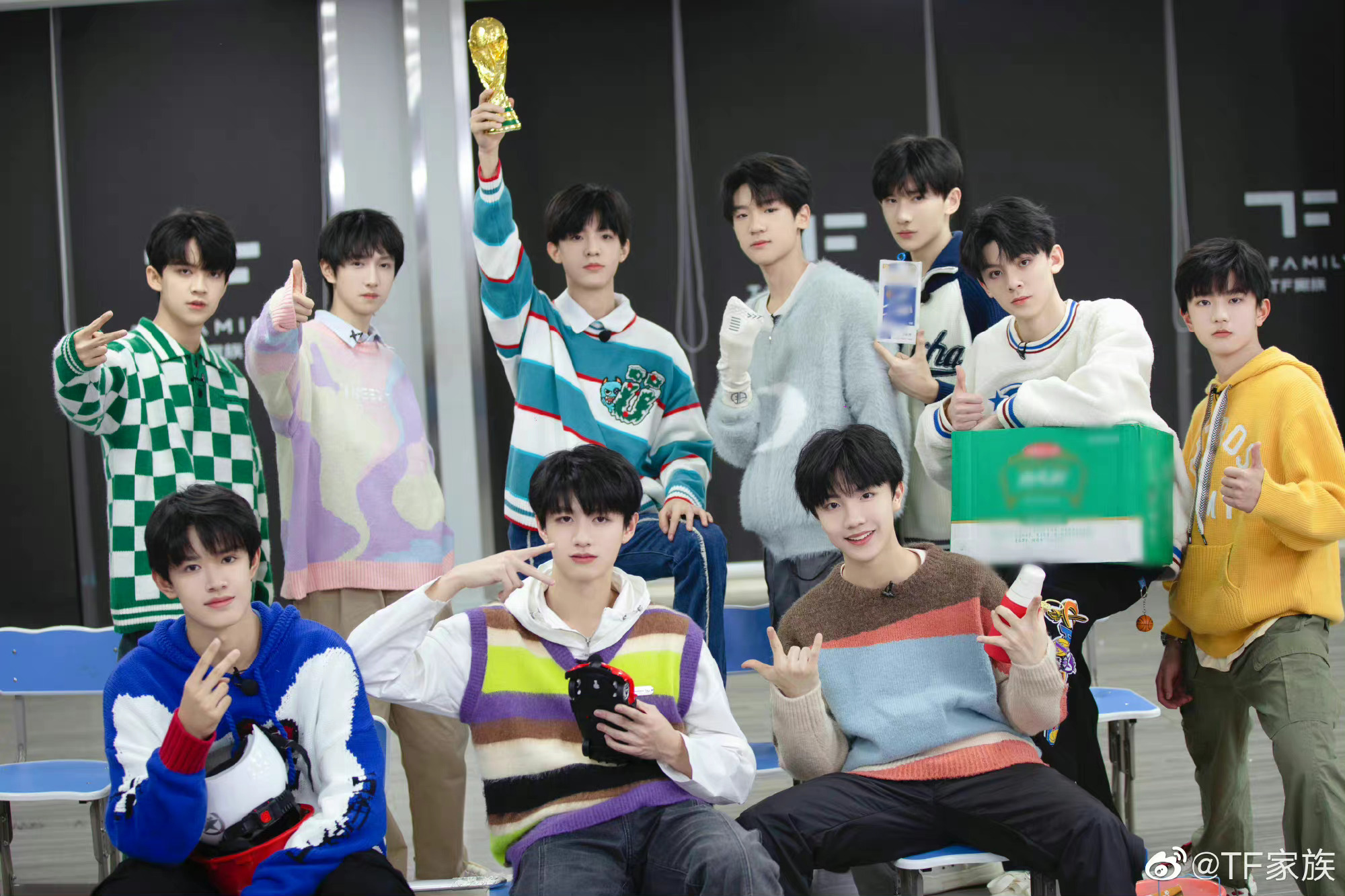 TF #501 TransForm Queen Size Breast Forms