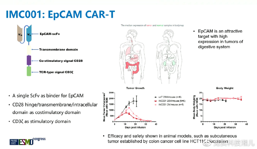 靶向EpCAM的CAR-T细胞疗法实体瘤患者未来可期