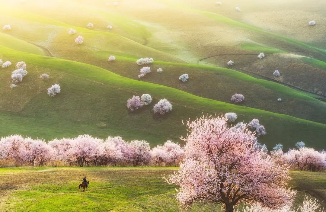 伊犁杏花谷的美景，真的无不让人感叹 真是不同季节不同色彩的美。