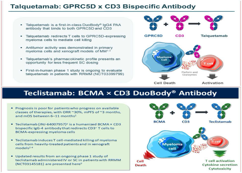 总缓解率73%！多发性骨髓瘤耐药难题，创新双抗药Teclistamab前景可期|多发性骨髓瘤|缓解率|患者_新浪新闻